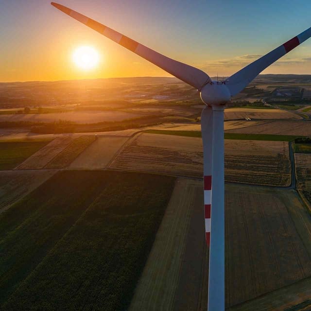 Doha structure – Scicore Nutra Private Limited